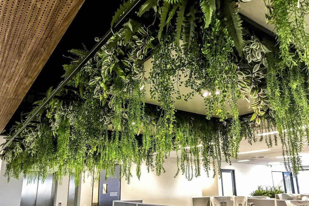 Vertical Gardening - Transform Your Space